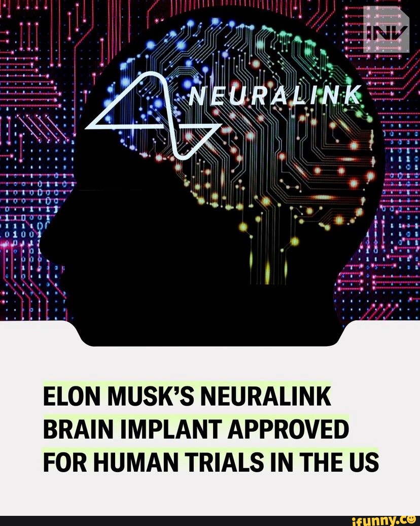 Neuralink memes. Best Collection of funny Neuralink pictures on iFunny