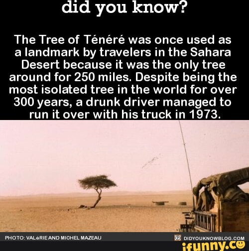 Did you know? The Tree of Tener was once used as a landmark by ...