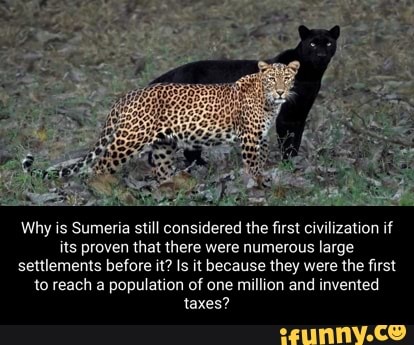 Sumeria memes. Best Collection of funny Sumeria pictures on iFunny