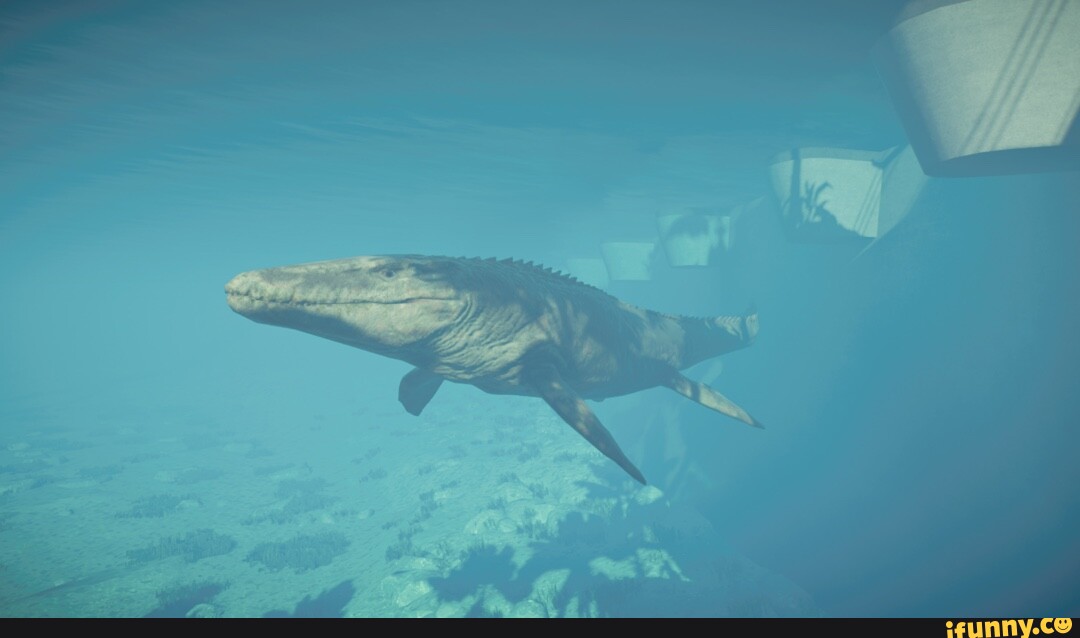 Mosasaurus memes. Best Collection of funny Mosasaurus pictures on iFunny