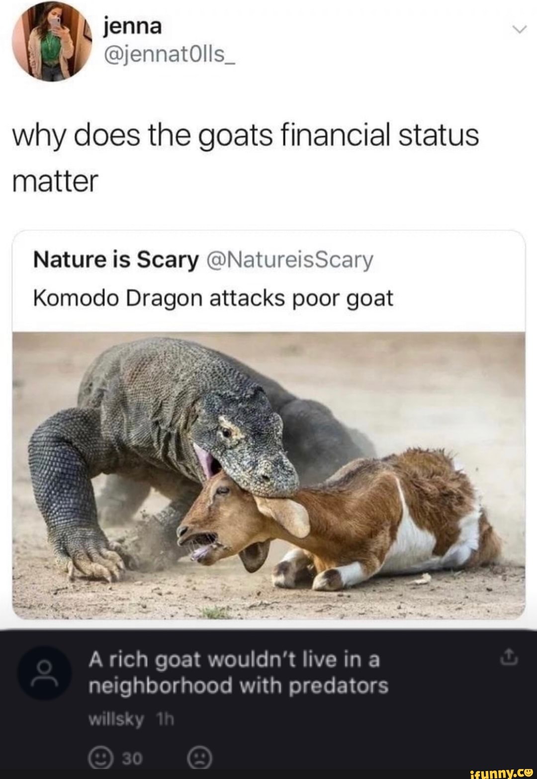 Why does the goats financial status matter Nature is Scary ...