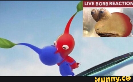 Borb memes. Best Collection of funny Borb pictures on iFunny