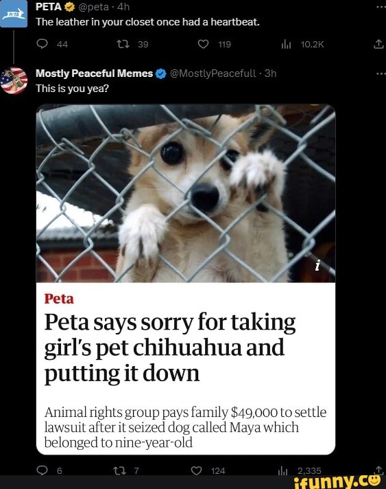 PETA The leather in your closet once had a heartbeat. Mostly Peaceful ...