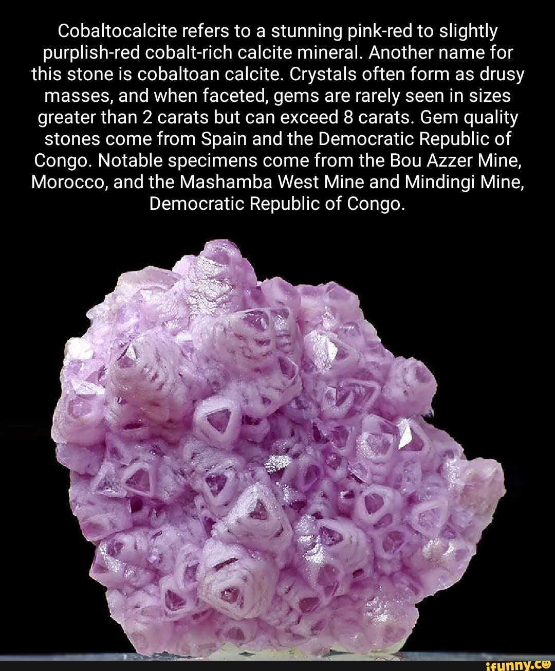 Cobalt memes. Best Collection of funny Cobalt pictures on iFunny