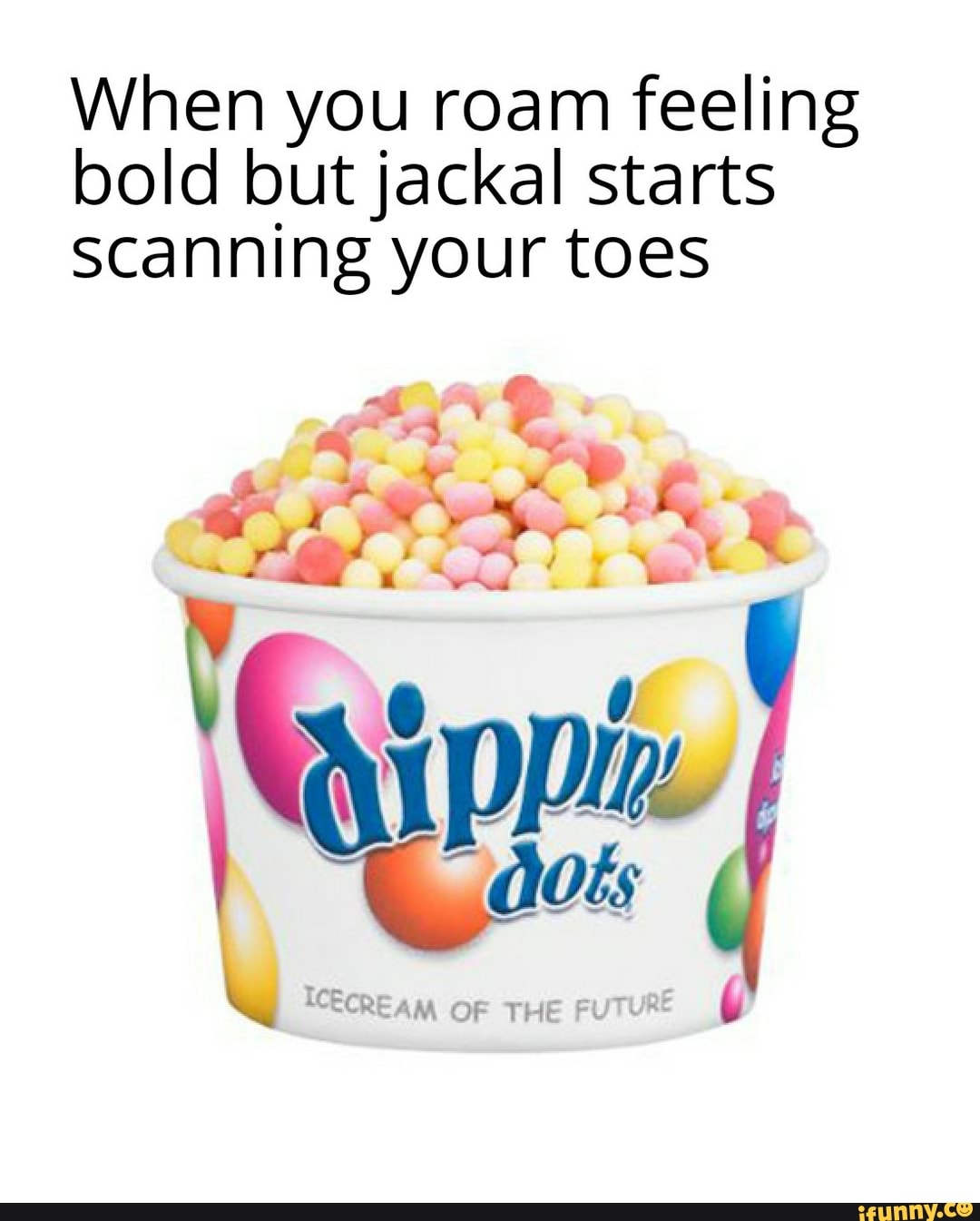 When you roam feeling bold butjackal starts scanning your toes - iFunny