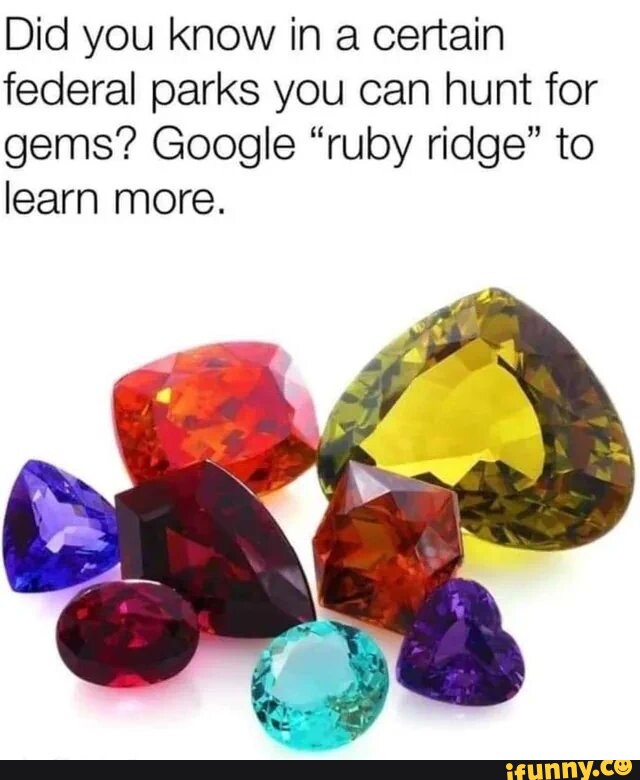 Did you know in a certain federal parks you can hunt for gems? Google ...