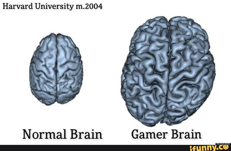 Harvard University m.2004 Normal Brain Gamer Brain - iFunny