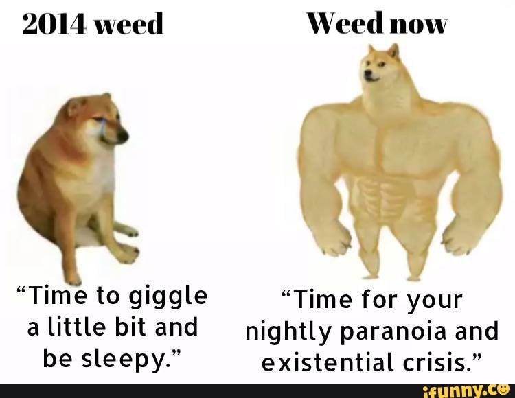 Paranoia memes. Best Collection of funny Paranoia pictures on iFunny