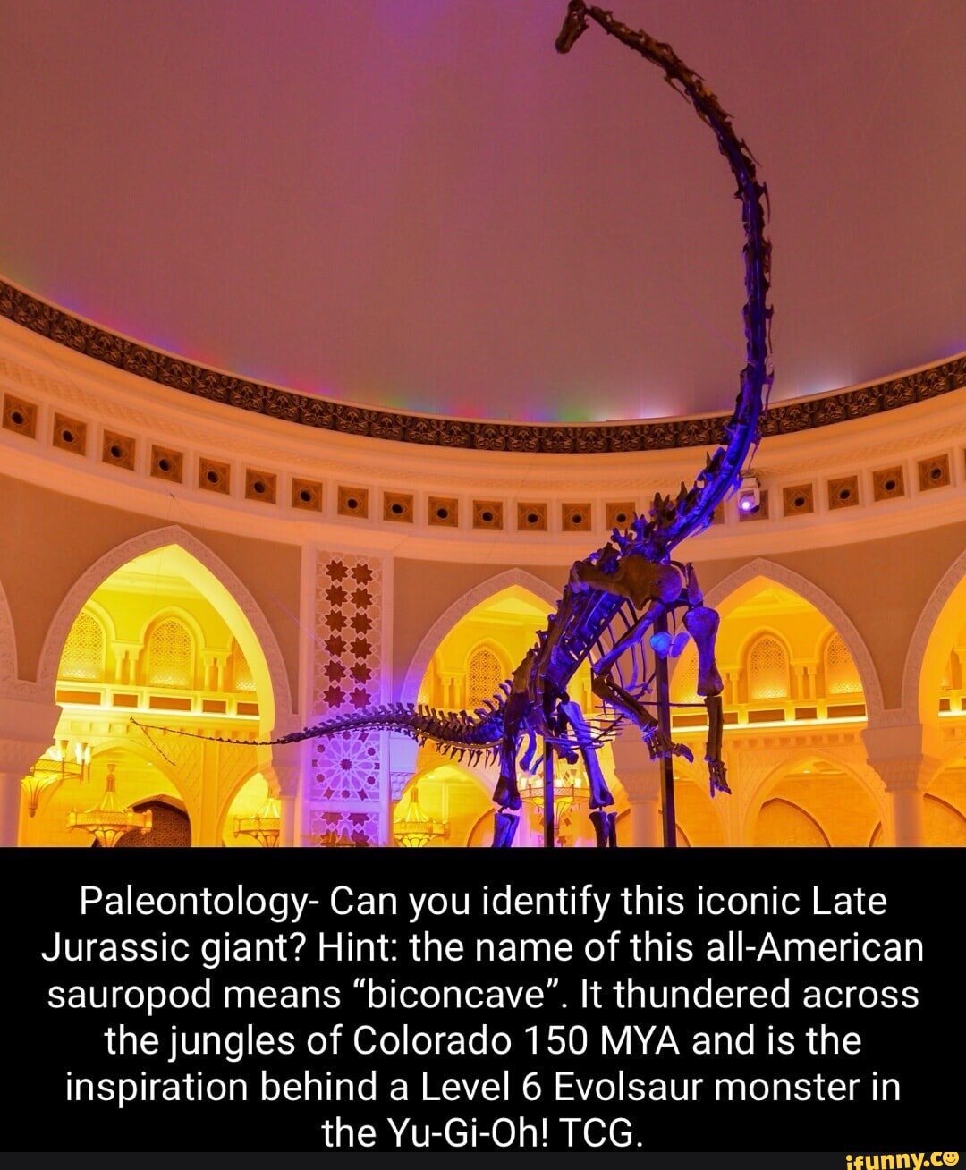 Paleontology- Can you identify this iconic Late Jurassic giant? Hint ...