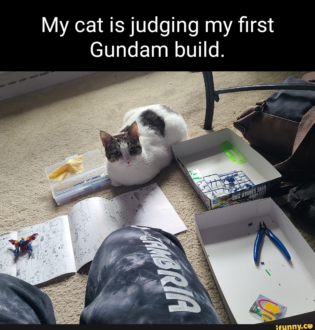 Judging memes. Best Collection of funny Judging pictures on iFunny