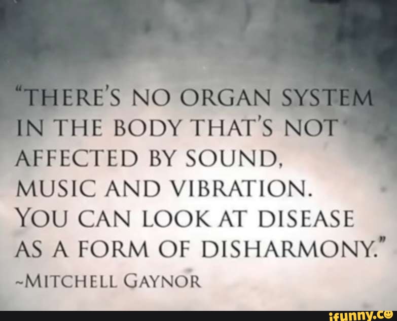 HERE'S NO ORGAN SYSTEN IN THE BODY THAT'S NOT AFFECTED BY SOUND, MUSIC ...