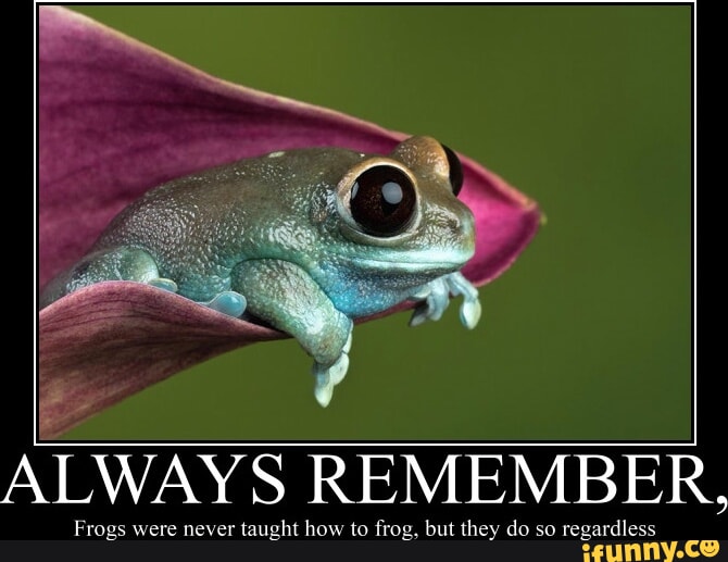 ALWAYS REMEMBER, Frogs were never taught how to frog, but they do so regardless - iFunny