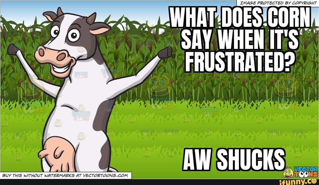 Vectortoons memes. Best Collection of funny Vectortoons pictures on iFunny