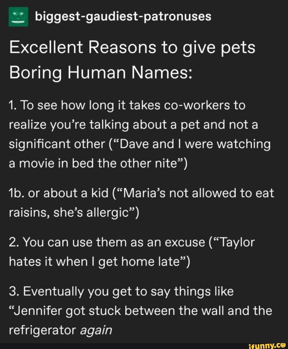 Biggest gaudiest patronuses Excellent Reasons To Give Pets Boring biggest-gaudiest-patronuses-excellent-reasons-to-give-pets-boring