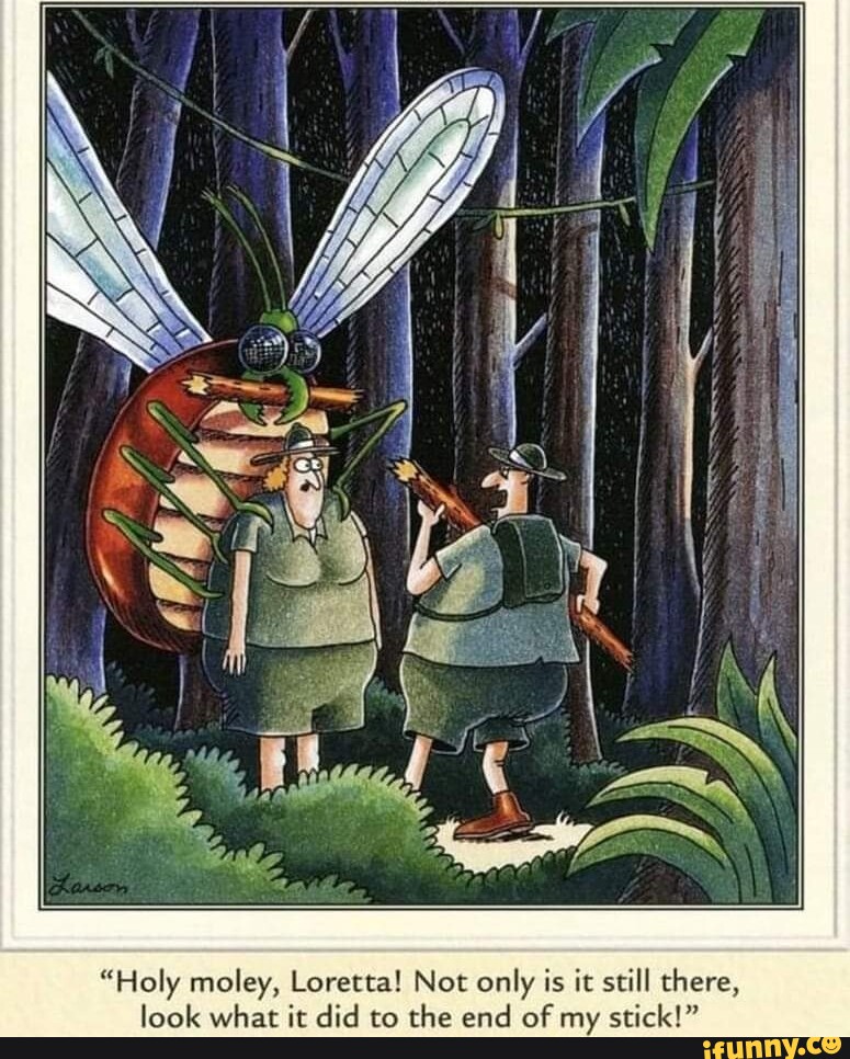 "Holy moley, Loretta! Not only is it still there, look at it did tot ...