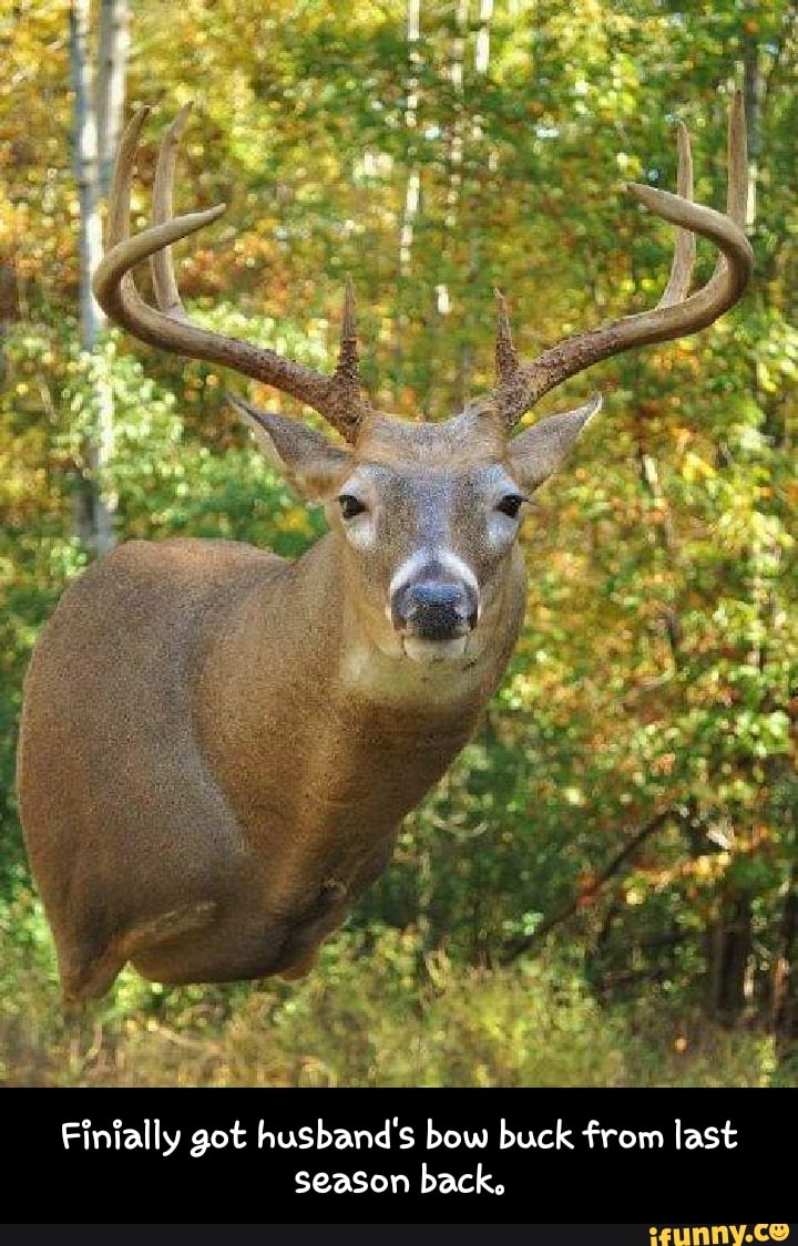 Bowhunter memes. Best Collection of funny Bowhunter pictures on iFunny