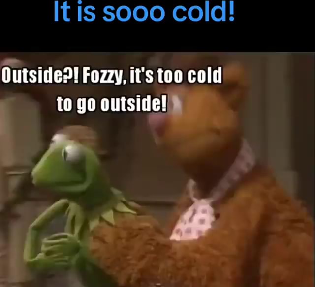 Fozzy Memes Fozzie Bear | Disney Characters