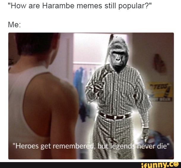"How are Harambe memes still popular?" Me "Heroes get remember - iFunny