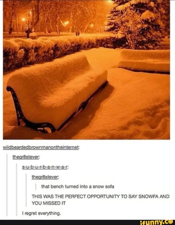 Idbeardedbrownmanonth: thegr8stever- thegr8stever; that bench turned ...