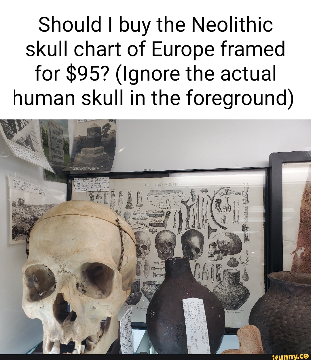 Should I buy the Neolithic skull chart of Europe framed for $95 ...