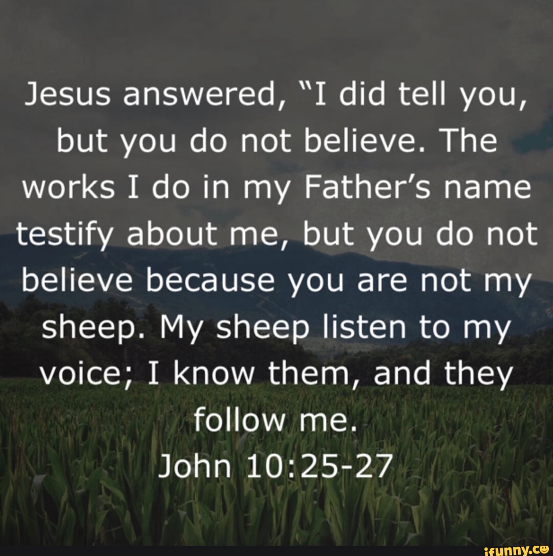 Jesus answered, "I did tell you, but you do not believe. The works I do ...