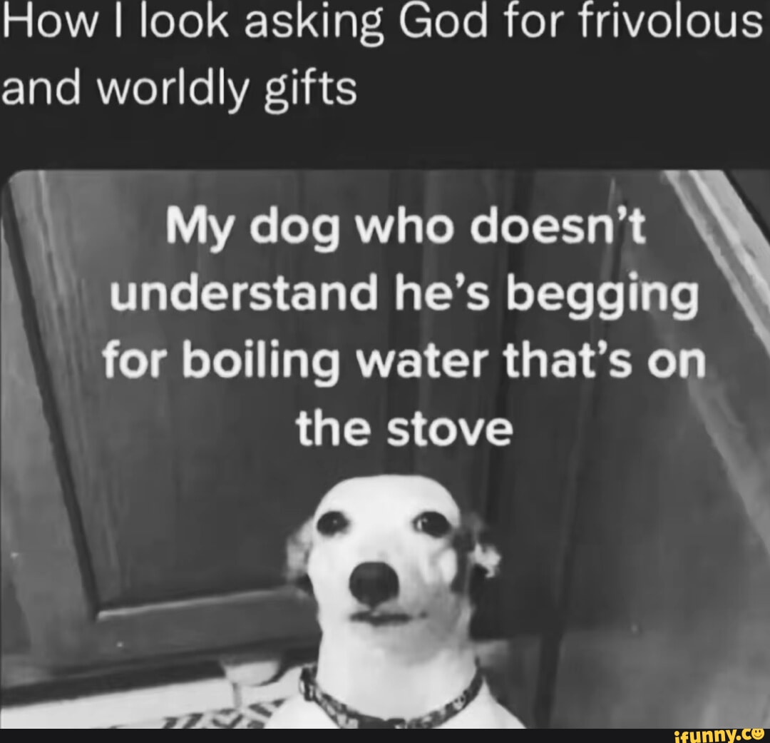 Stove memes. Best Collection of funny Stove pictures on iFunny