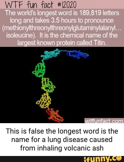 Titin memes. Best Collection of funny Titin pictures on iFunny