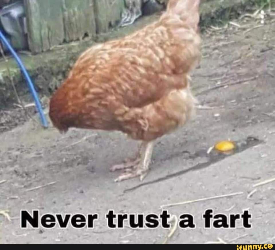 Fart_jokes memes. Best Collection of funny Fart_jokes pictures on iFunny