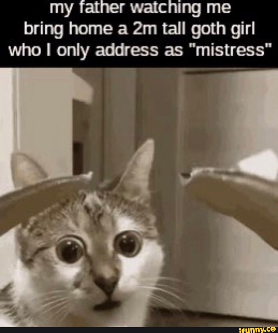 My father Ing me bring home a tall goth girl who I only address as ...