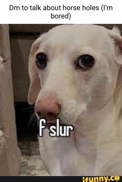 Horse memes. Best Collection of funny Horse pictures on iFunny