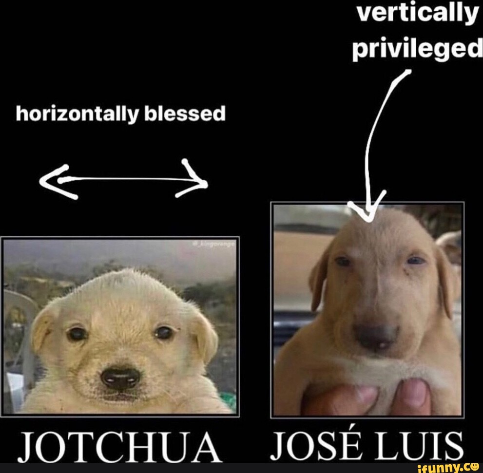 Jotchua memes. Best Collection of funny Jotchua pictures on iFunny