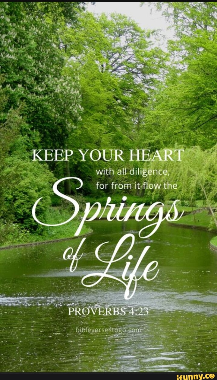 Diligence memes. Best Collection of funny Diligence pictures on iFunny