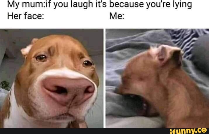 My you laugh its because youre lying Her face: Me: - iFunny
