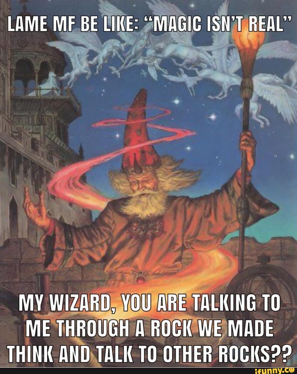 LAME MF BE LIKE: "MAGIC ISN'T REAL" MY WIZARD, YOU ARE TALKING TO ME ...