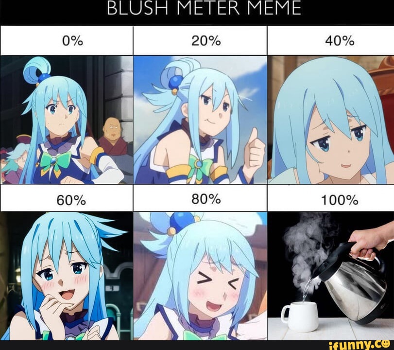 BLUSA METER MEME 20% 100% - iFunny