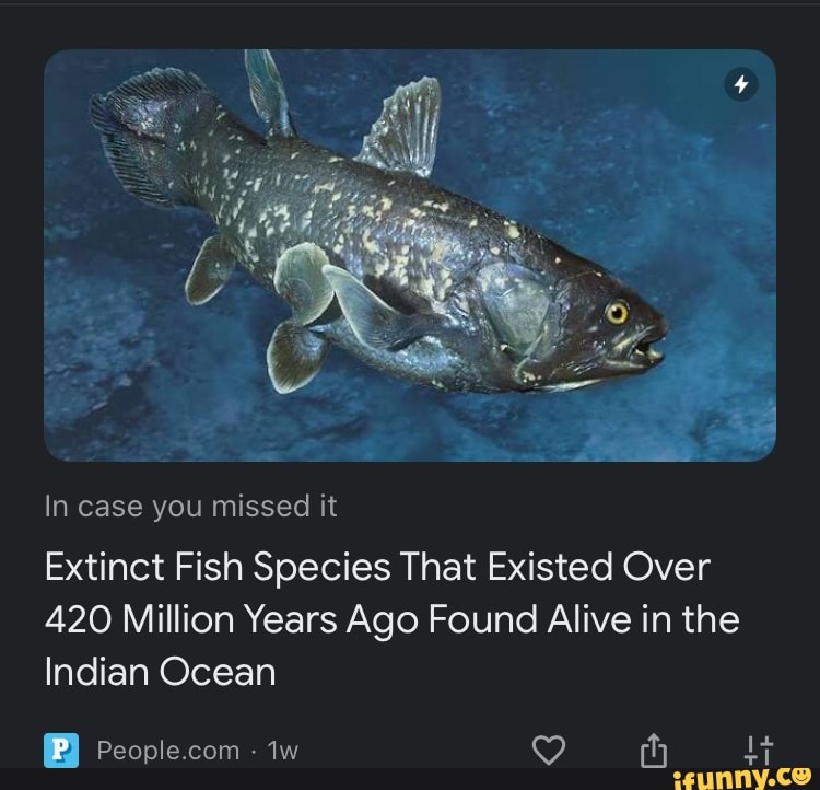 In case you missed it Extinct Fish Species That Existed Over 420 ...