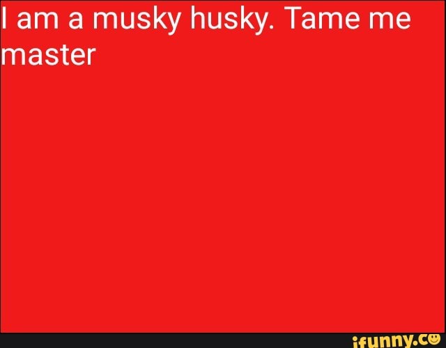 Muskyhusky memes. Best Collection of funny Muskyhusky pictures on iFunny