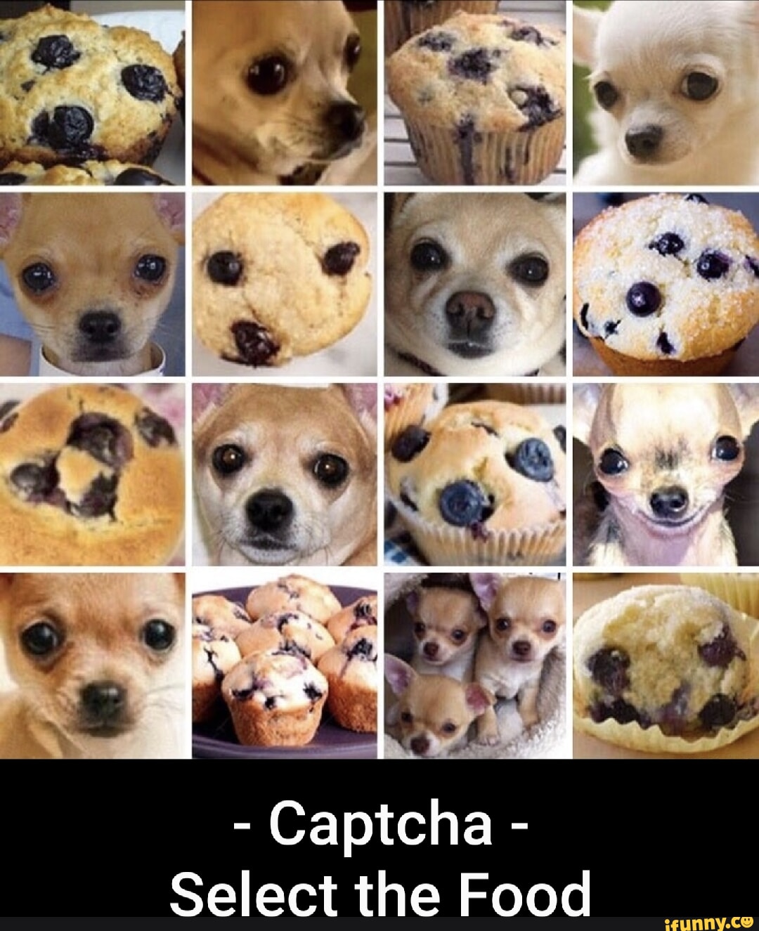 - Captcha - Select the Food - iFunny