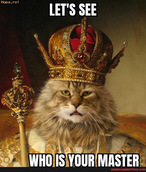LET'S SEE WHO IS YOUR MASTER - America’s best pics and videos