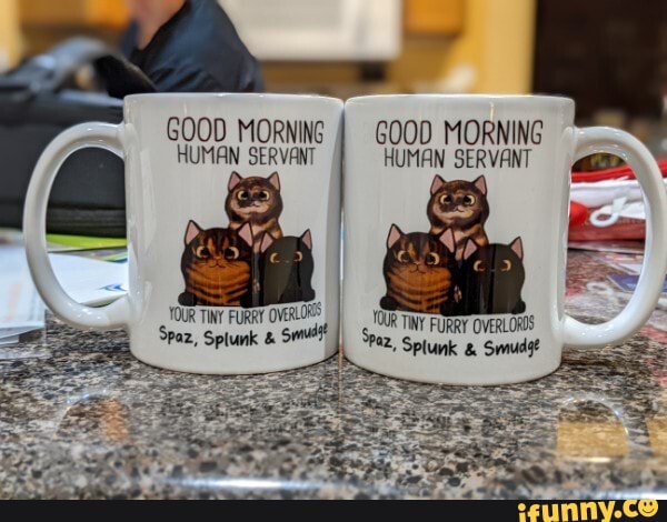 Splunk memes. Best Collection of funny Splunk pictures on iFunny