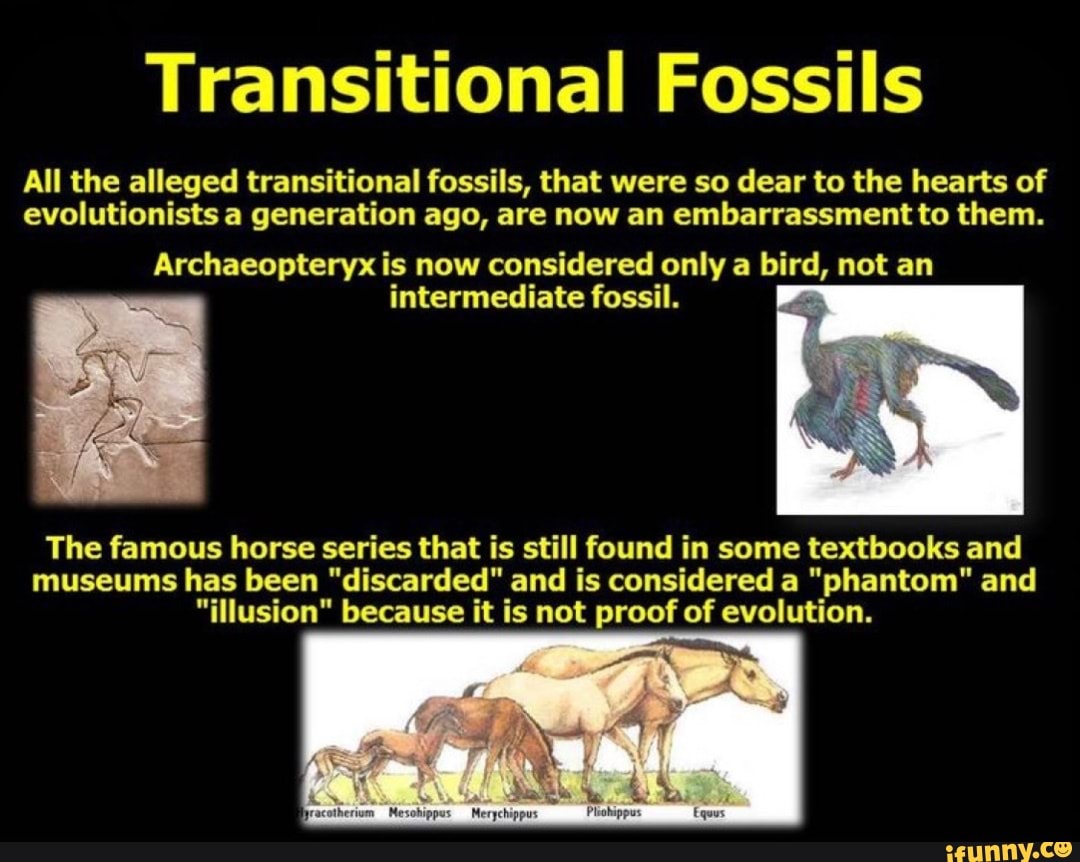 Fossils memes. Best Collection of funny Fossils pictures on iFunny