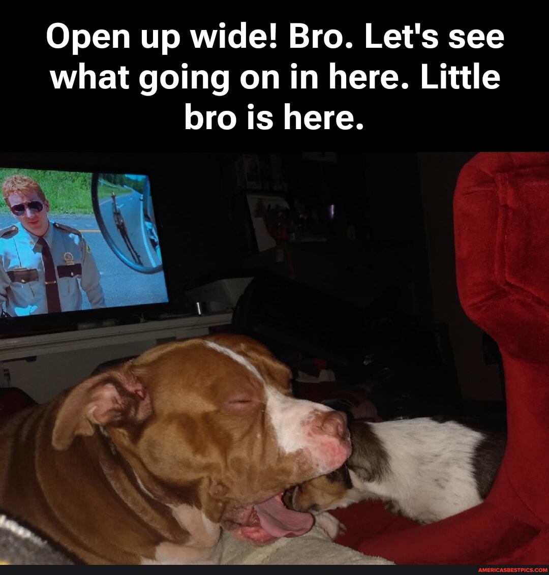 Open up wide! Bro. Let's see what going on in here. Little bro is here ...
