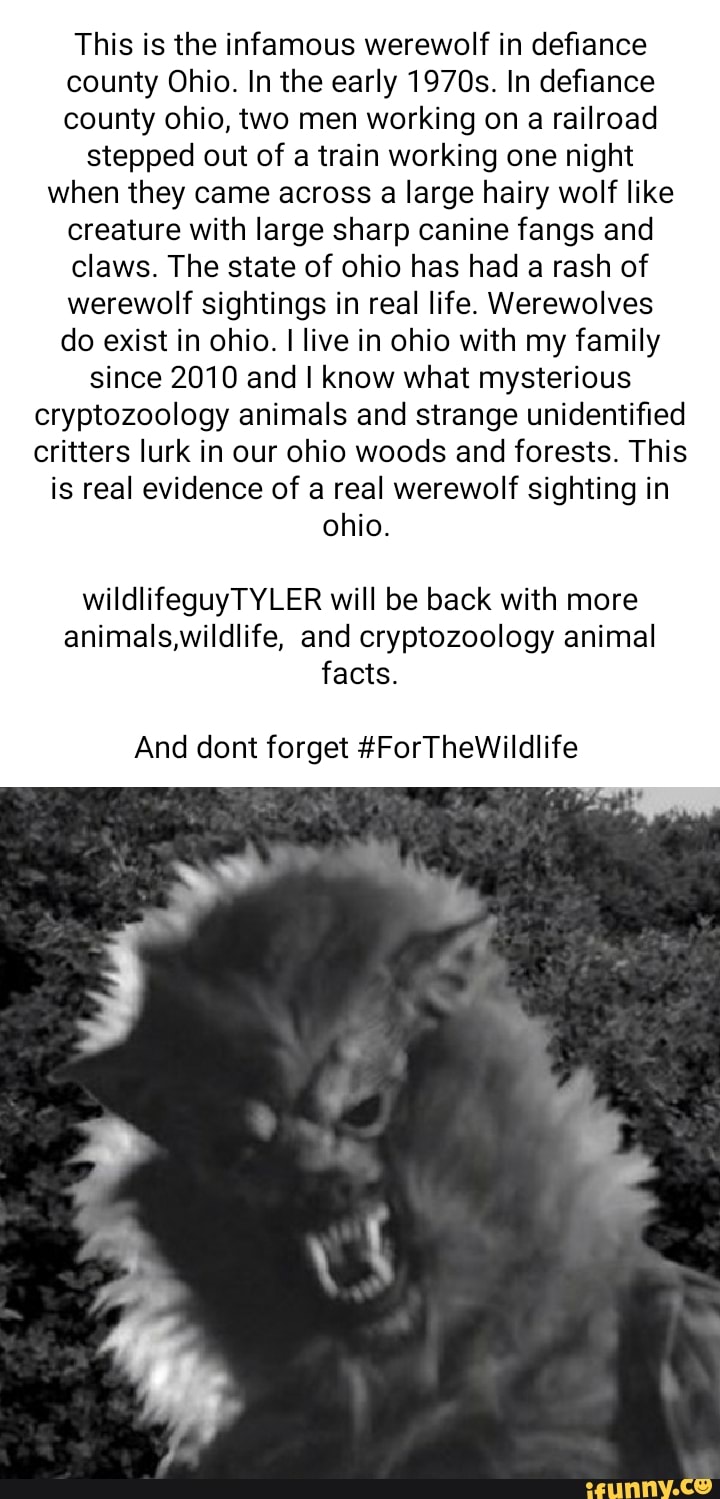 Werewolfsightings memes. Best Collection of funny Werewolfsightings ...