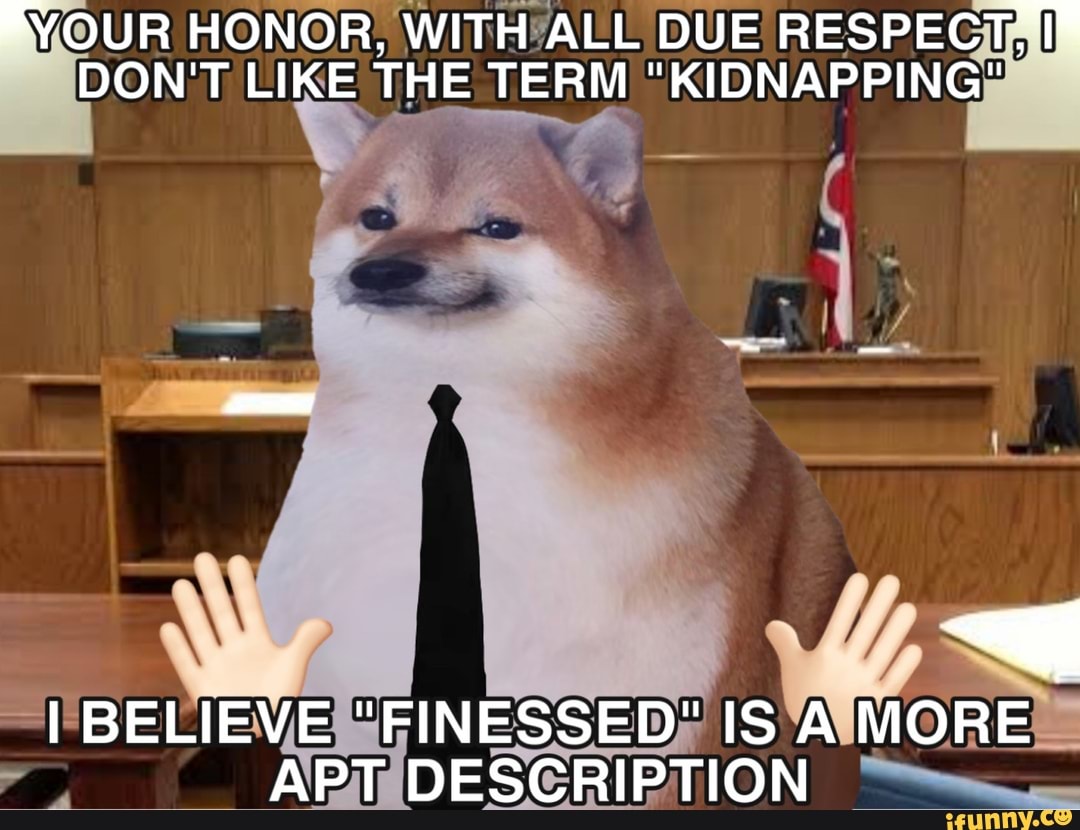 YOUR HONOR, WITH ALL DUE RESPECT; DON'T LIKE THE TERM "KIDNAPPING ...