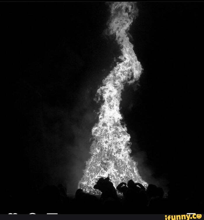 Tarleton memes. Best Collection of funny Tarleton pictures on iFunny