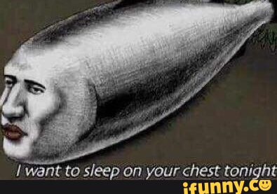 Chest memes. Best Collection of funny Chest pictures on iFunny