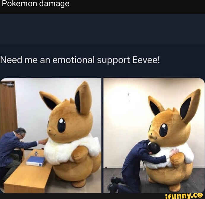 Pokemon damage Need me an emotional support Eevee! - iFunny