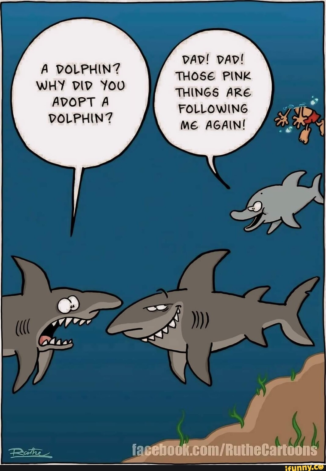 Dolphin memes. Best Collection of funny Dolphin pictures on iFunny