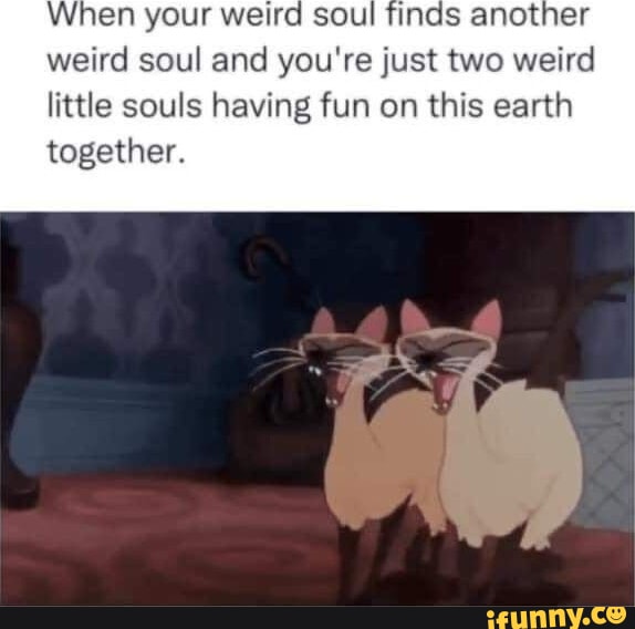 Hen your weird soul finds another weird soul and you're just two weird ...