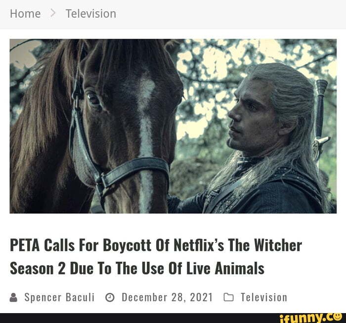 The_witcher_season_2 memes. Best Collection of funny The_witcher_season ...